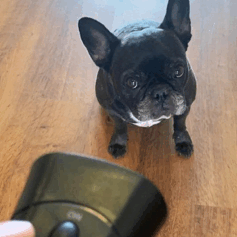 PetGentle: Official Website